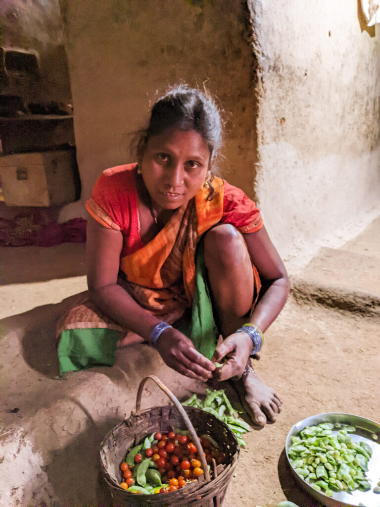 Meeting Bharia Tribe and Kareyam Village Tour Patalkot - i Share