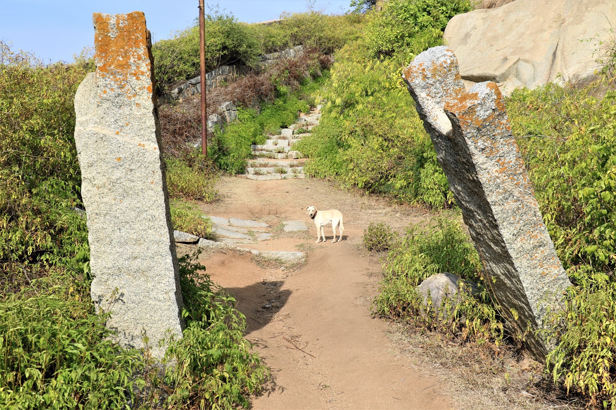 Gudibande Fort Trek, Weekend Trip from Bangalore - i Share
