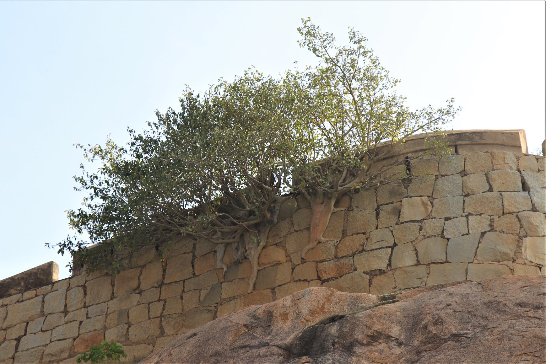 Gudibande Fort Trek, Weekend Trip from Bangalore - i Share