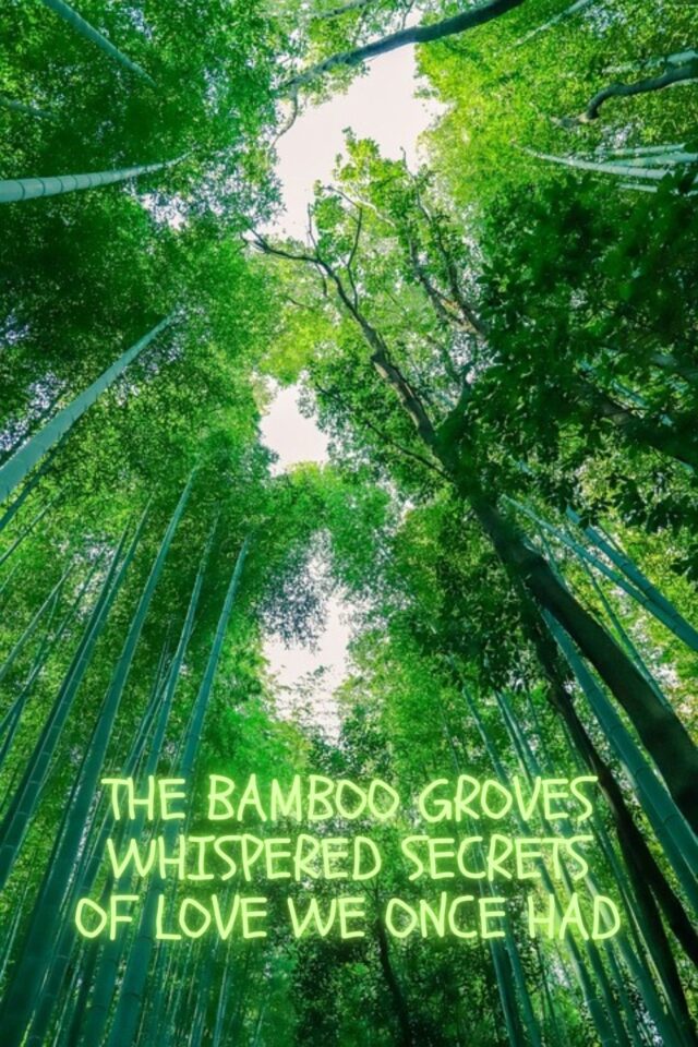 Kyoto Quotes and Captions for Instagram Posts - i Share