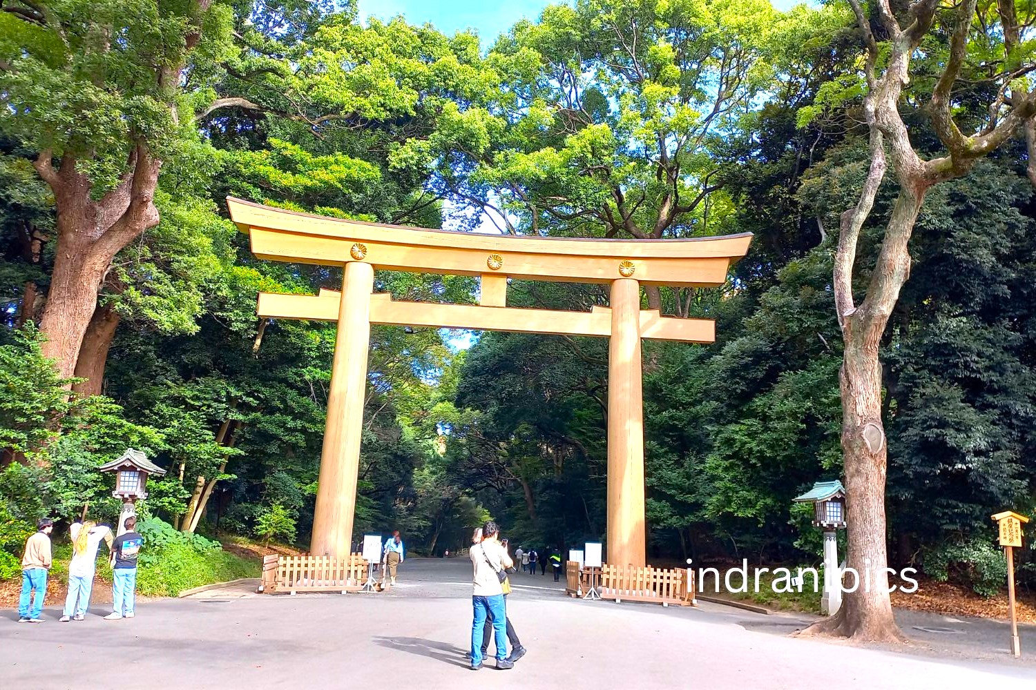 What to See in Meiji Jingu Shrine in Tokyo? - i Share