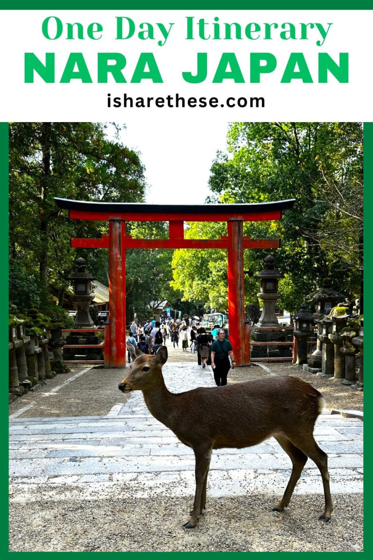 Perfect Nara One Day Itinerary: Day Trip to Nara Japan - i Share