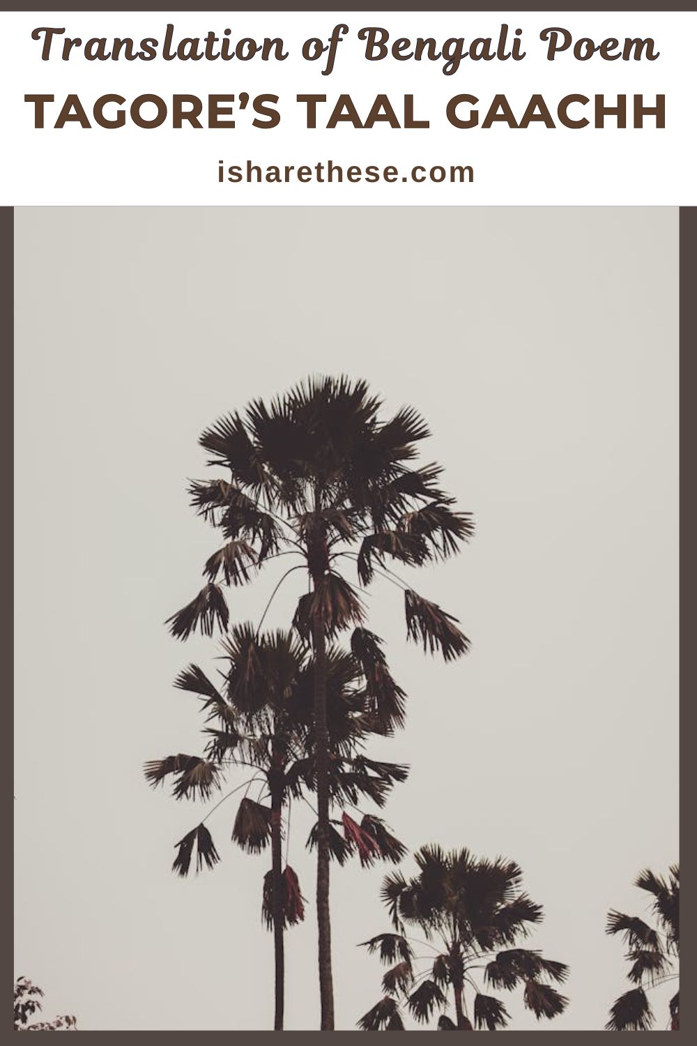 Taal Gachh, The Palm Tree, Tagore's Poem Translated to English - i Share