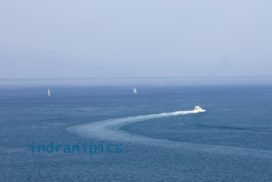 Why is the Sea Blue in Color? Science has the Answer - i Share