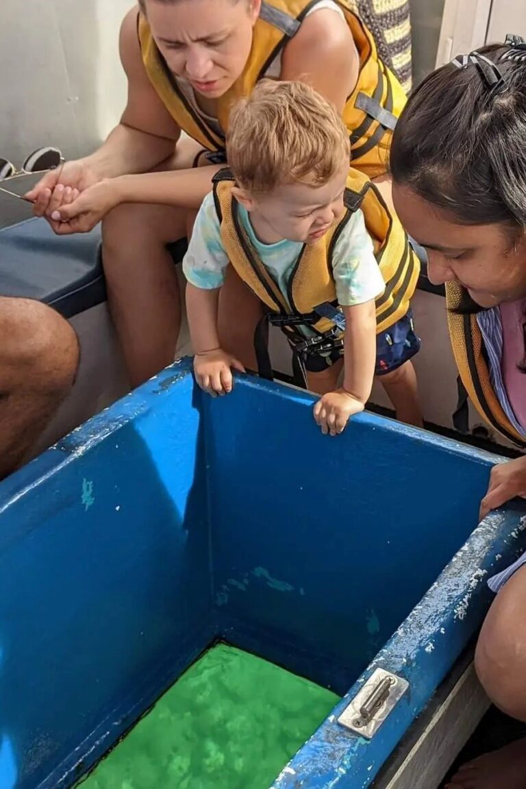 Glass Bottom Boat Tours in Mauritius - i Share